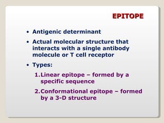 Mhc And Antigens | PPT