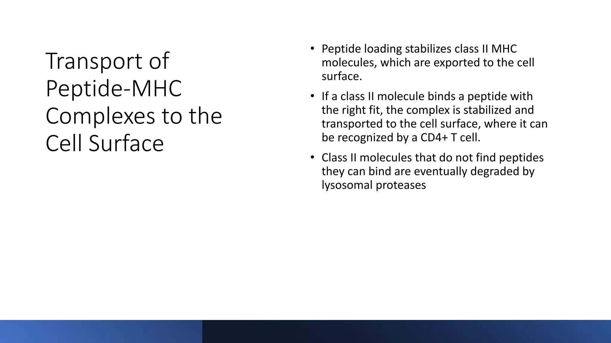 Antigen processing and MHC | PPTX