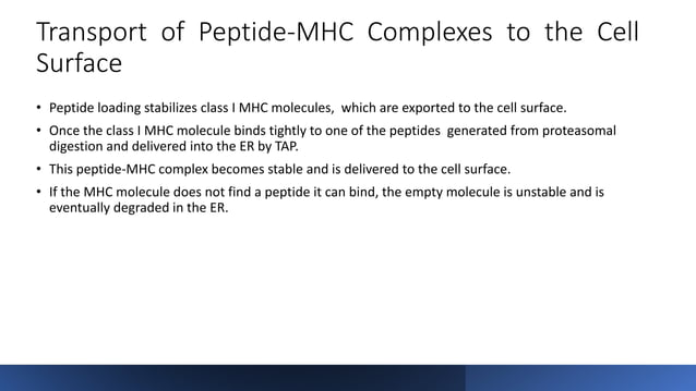 Antigen processing and MHC | PPTX | Genetics | Science