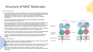 Antigen processing and MHC | PPTX