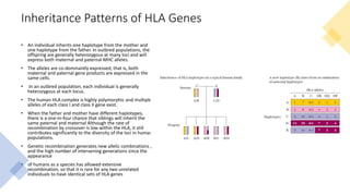 Antigen processing and MHC | PPTX | Genetics | Science