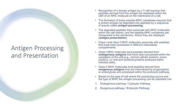 Antigen processing and MHC | PPTX | Genetics | Science