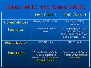 MHC and graft rejection modified.ppt
