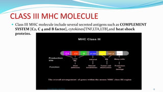 MHC and HLA CLASSES K R.pptx