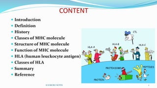 MHC and HLA CLASSES K R.pptx