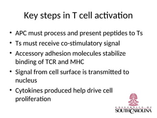 MHC and T cell receptor Human immunology.ppt