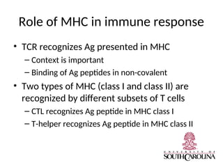 MHC and T cell receptor Human immunology.ppt