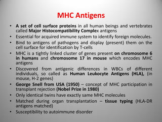 STRUCTURE AND FUNCTIONS OF MHC | PDF