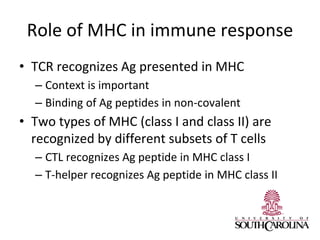 MHC description | PPT