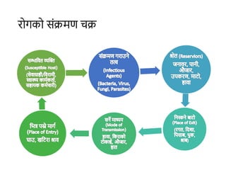 IP, Hygiene and Waste management | PDF
