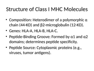 MHC_Molecules_Presentation(Robbins) copy.pptx. | PPT