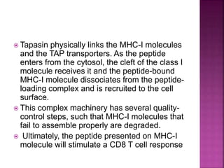 Mhc regulation | PPTX