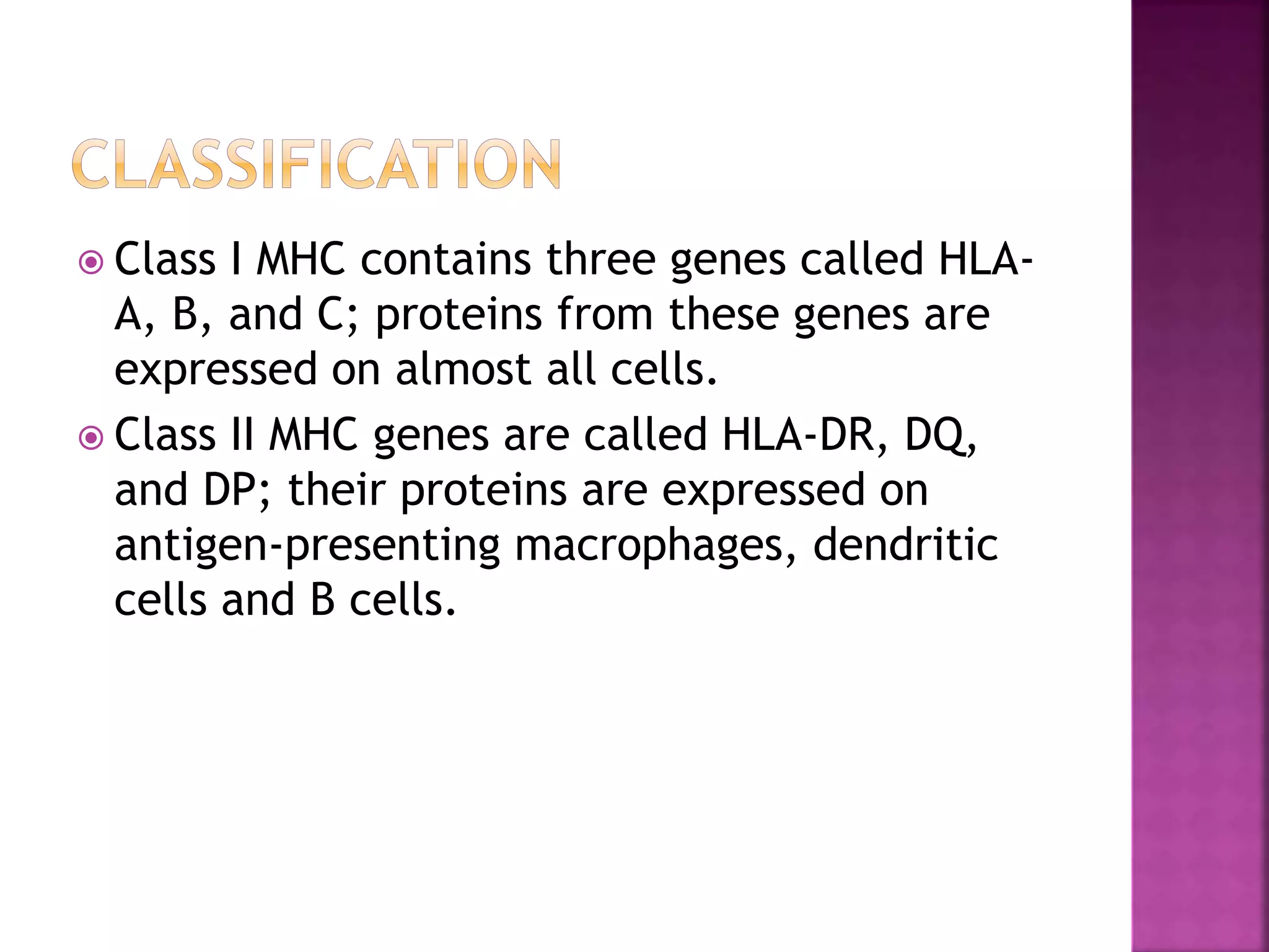 Mhc regulation | PPT