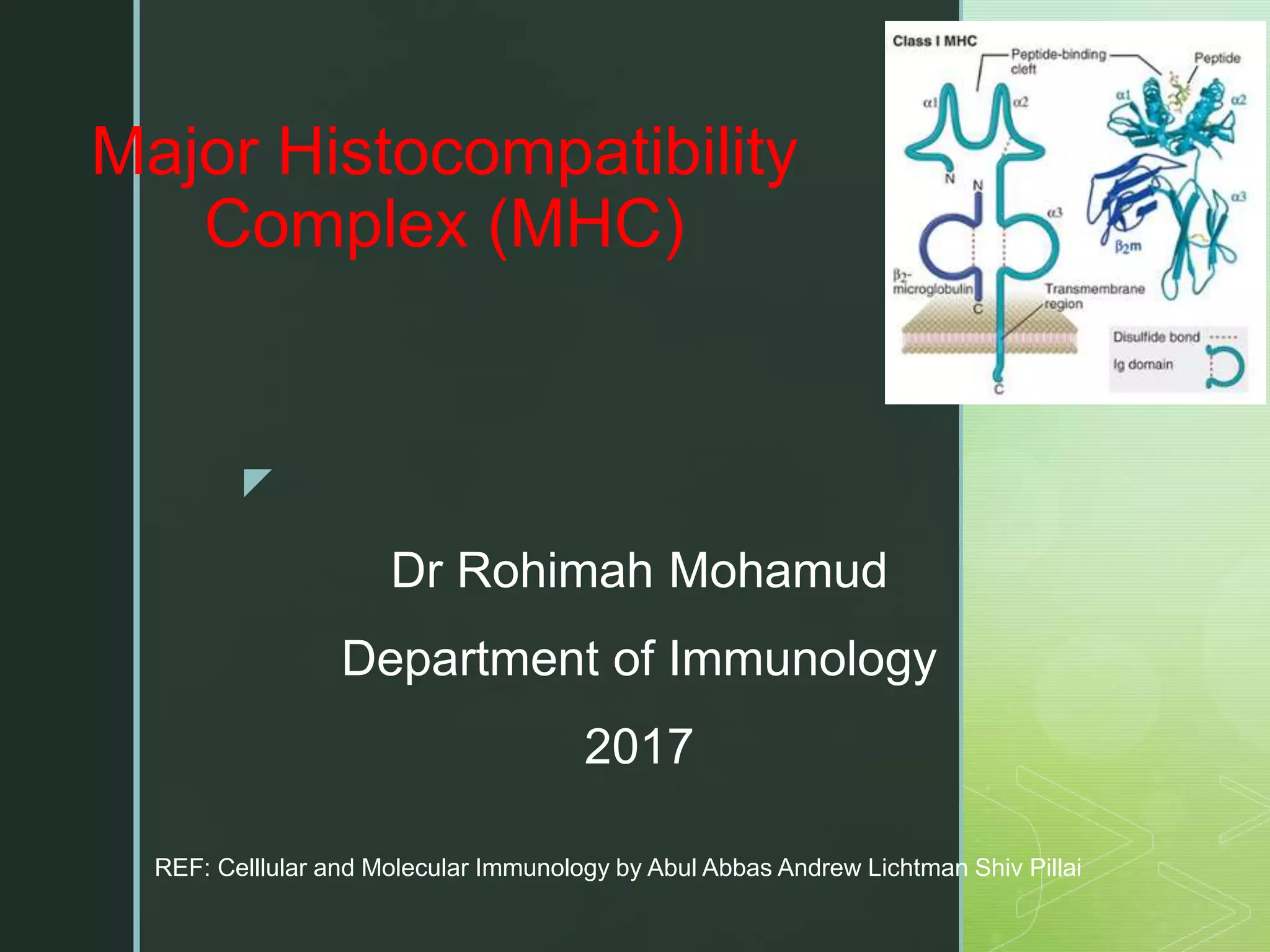 Major Histocompatibility Complex Mhc Ppt Genetics Science