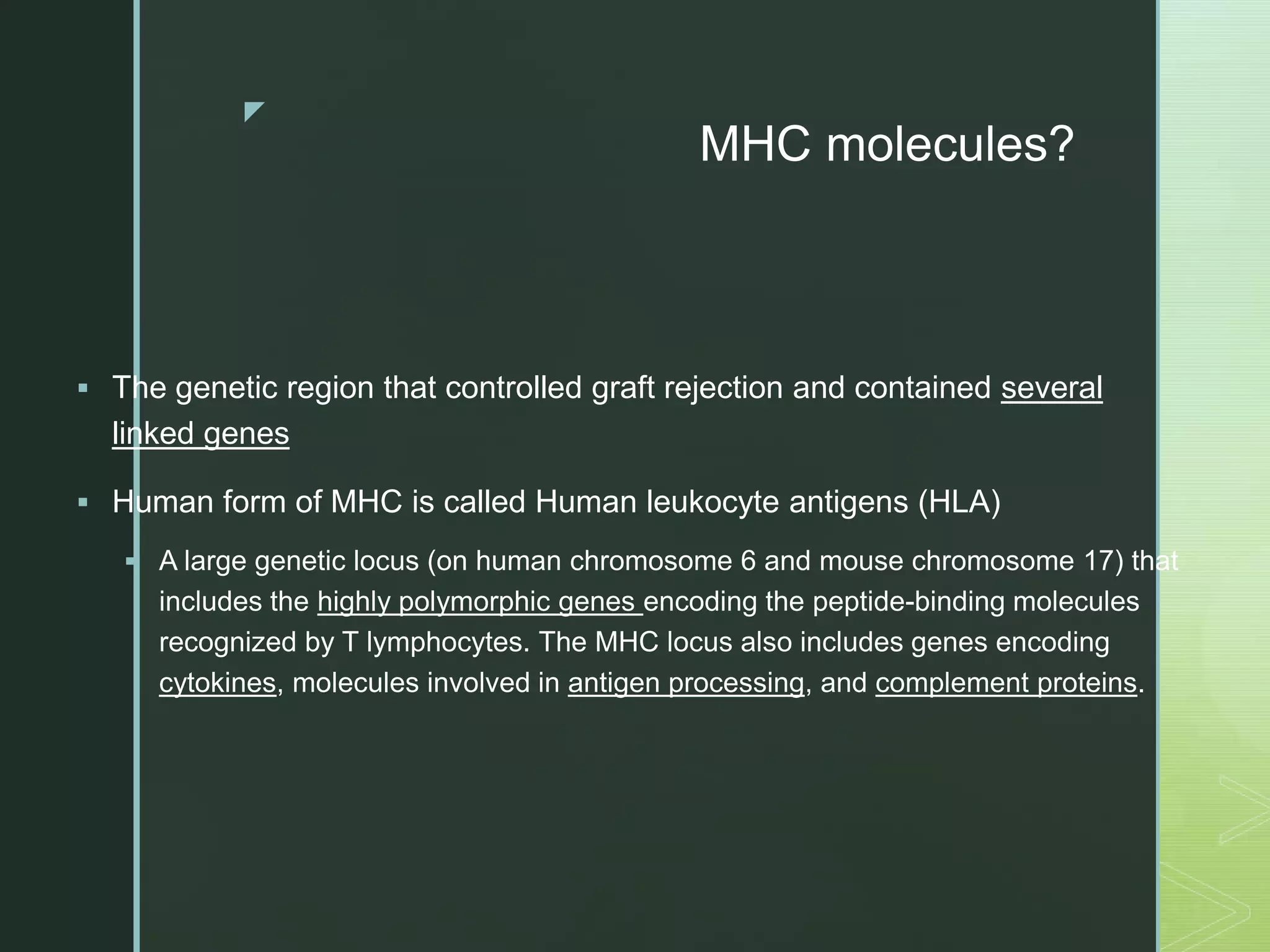 Major Histocompatibility Complex (MHC) | PPT