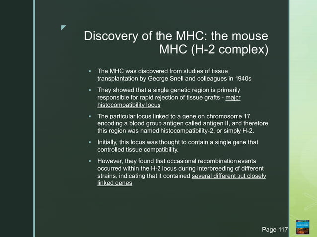 Major Histocompatibility Complex (MHC) | PPT | Genetics | Science