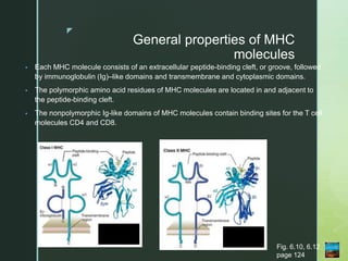 Major Histocompatibility Complex (MHC) | PPT