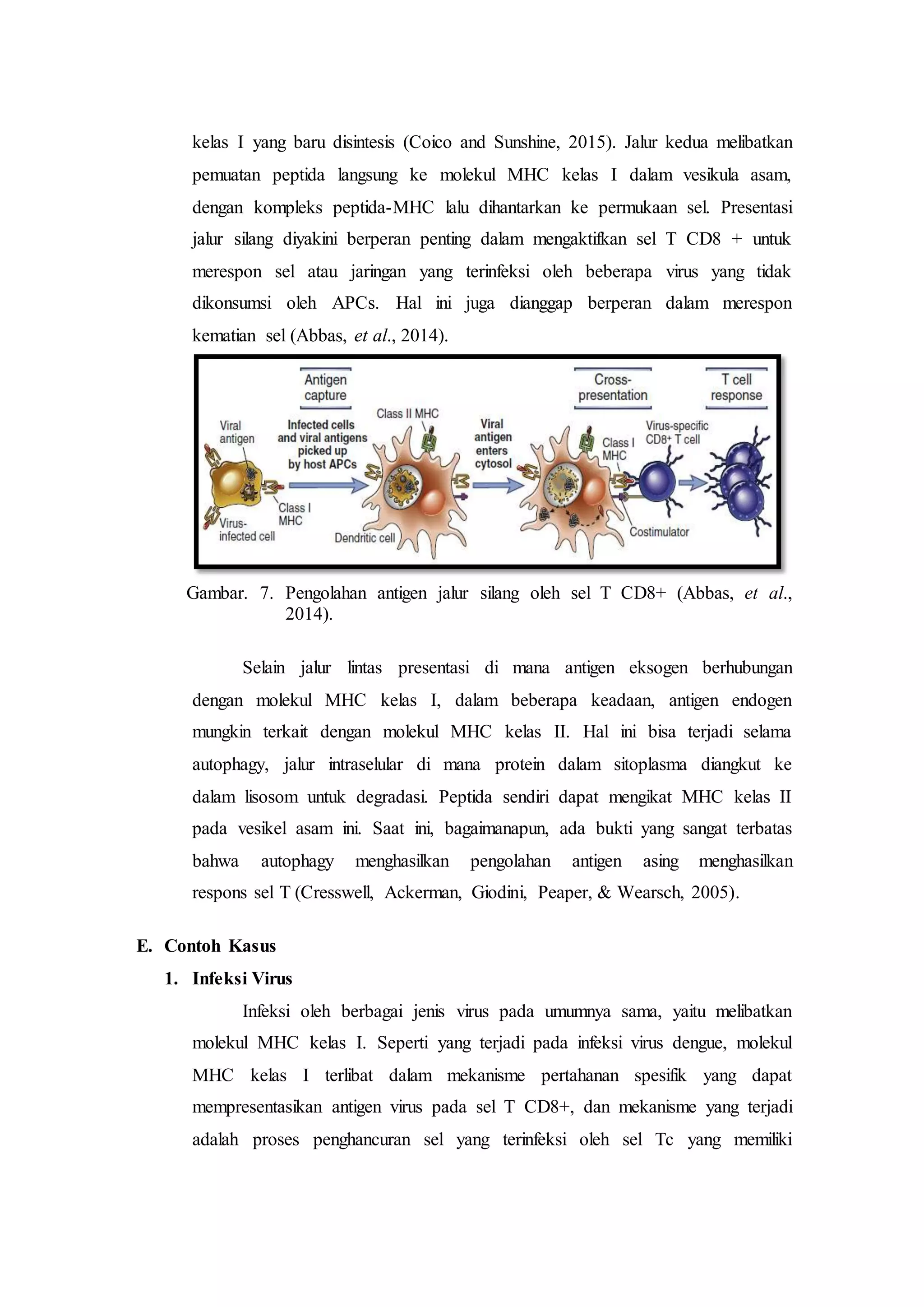 Materi imun MHC | DOCX