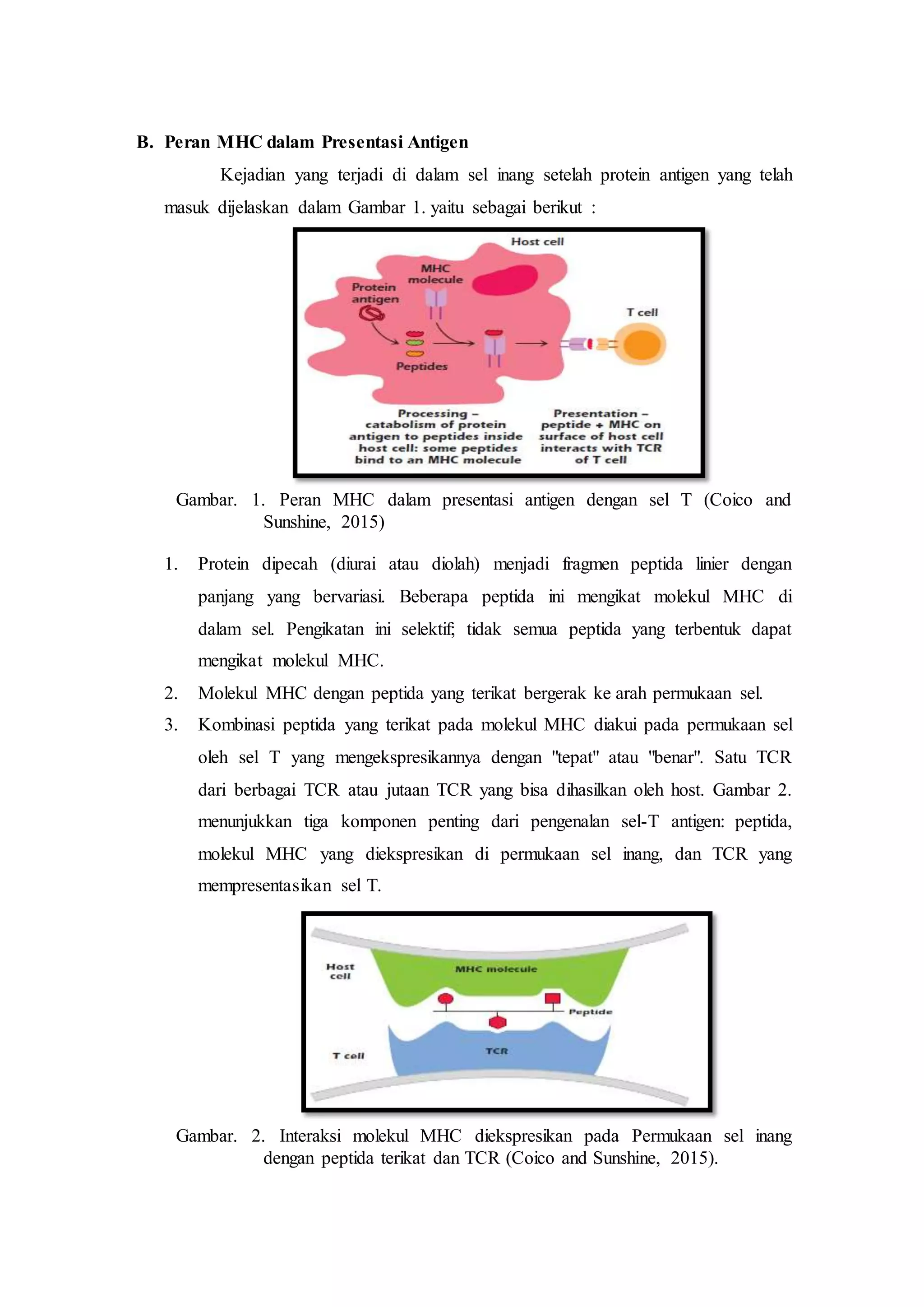 Materi imun MHC | DOCX