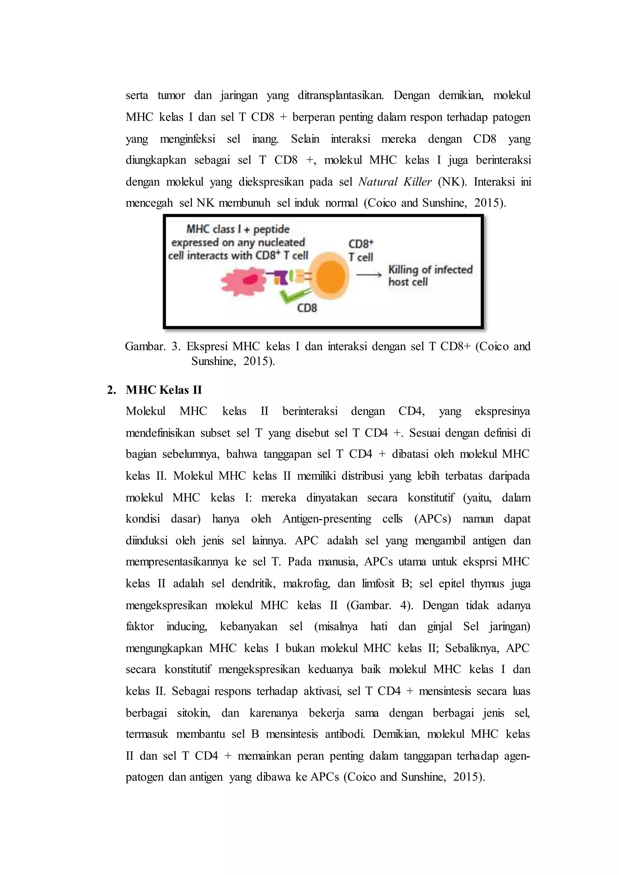 Materi imun MHC | DOCX