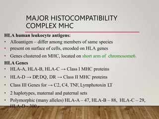 MHC & Transplantation pptx | PPTX
