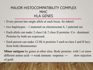 MHC & Transplantation pptx | PPTX