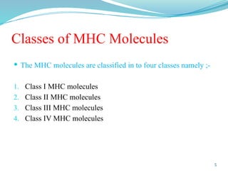 MHC,Types and Role in Transplant Rejection.pptx