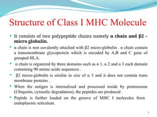 MHC,Types and Role in Transplant Rejection.pptx