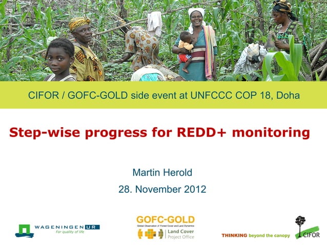 Step-wise progress for REDD+ monitoring | PDF