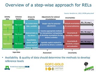 Step-wise progress for REDD+ monitoring | PPT