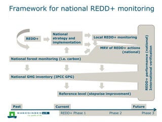 Step-wise progress for REDD+ monitoring | PPT