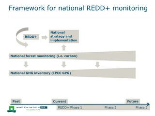Step-wise progress for REDD+ monitoring | PDF