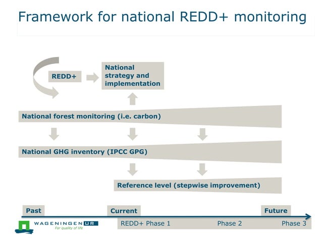 Step-wise progress for REDD+ monitoring | PDF