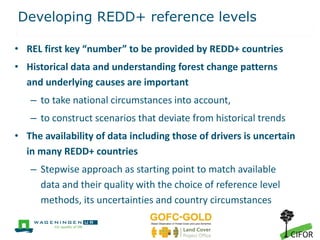 Step-wise progress for REDD+ monitoring | PPT