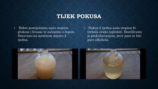 Fermentacija alkohola-istrazivacki-rad | PPTX