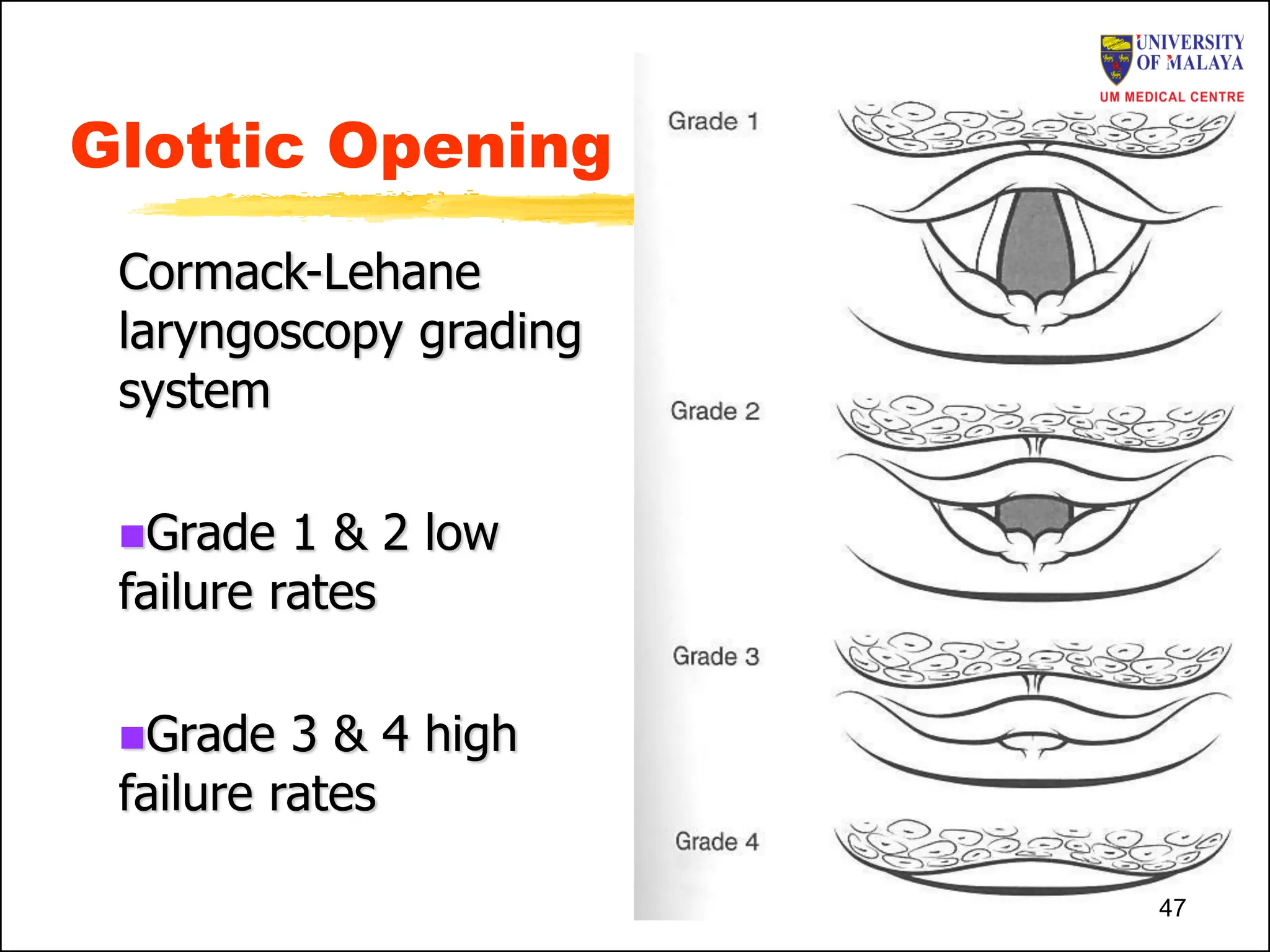 MHG1004-Lect 6-Assisting Dr in Definitive Airway Mx-intubation ...