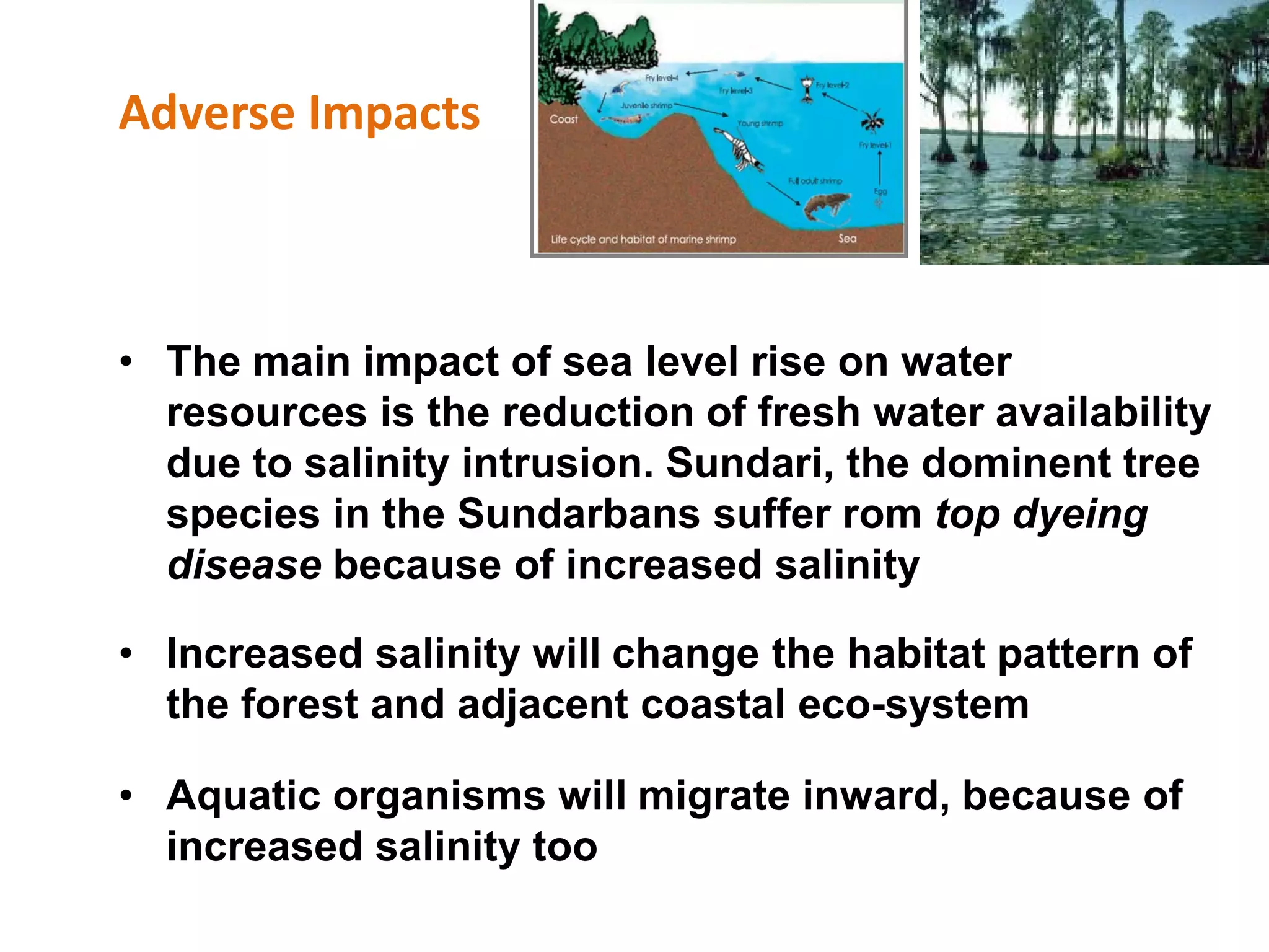 Mh khan challenges of climate change adaptation | PPT