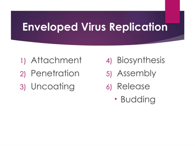 MHMP 2012 Unit 3 Introduction to Virology.pptx