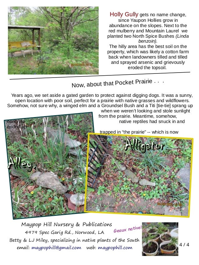 MH Newsletter April 2022.pdf | Gardening | Home & Garden