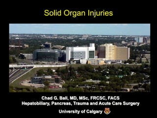 Solid organs by Professor Chad Ball | PPTX
