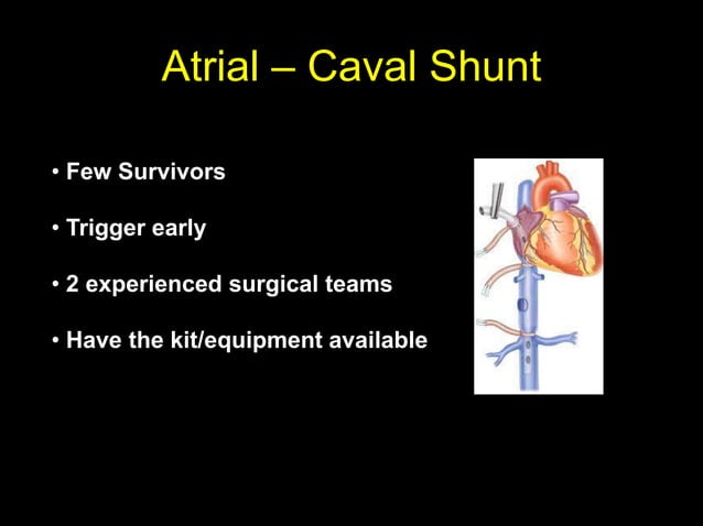 Solid organs by Professor Chad Ball | PPT