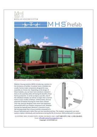 MHS Projects | PDF