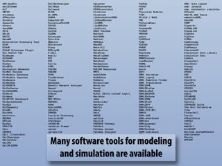Recent software and services to support the SBML community | PDF | Programming Languages | Computing