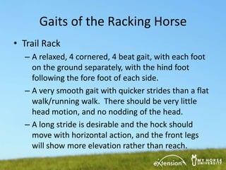 Understanding and Evaluating the Gaited Horse (Parsons) | PPTX