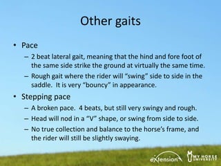 Understanding and Evaluating the Gaited Horse (Parsons) | PPTX