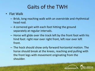 Understanding and Evaluating the Gaited Horse (Parsons) | PPTX