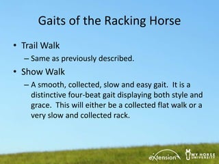 Understanding and Evaluating the Gaited Horse (Parsons) | PPTX