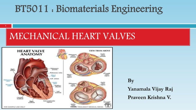 Mechanical Heart Valves | PPTX | Heart and Cardiovascular Diseases ...