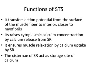 Functional and anatomy of skeletal muscle | PPTX