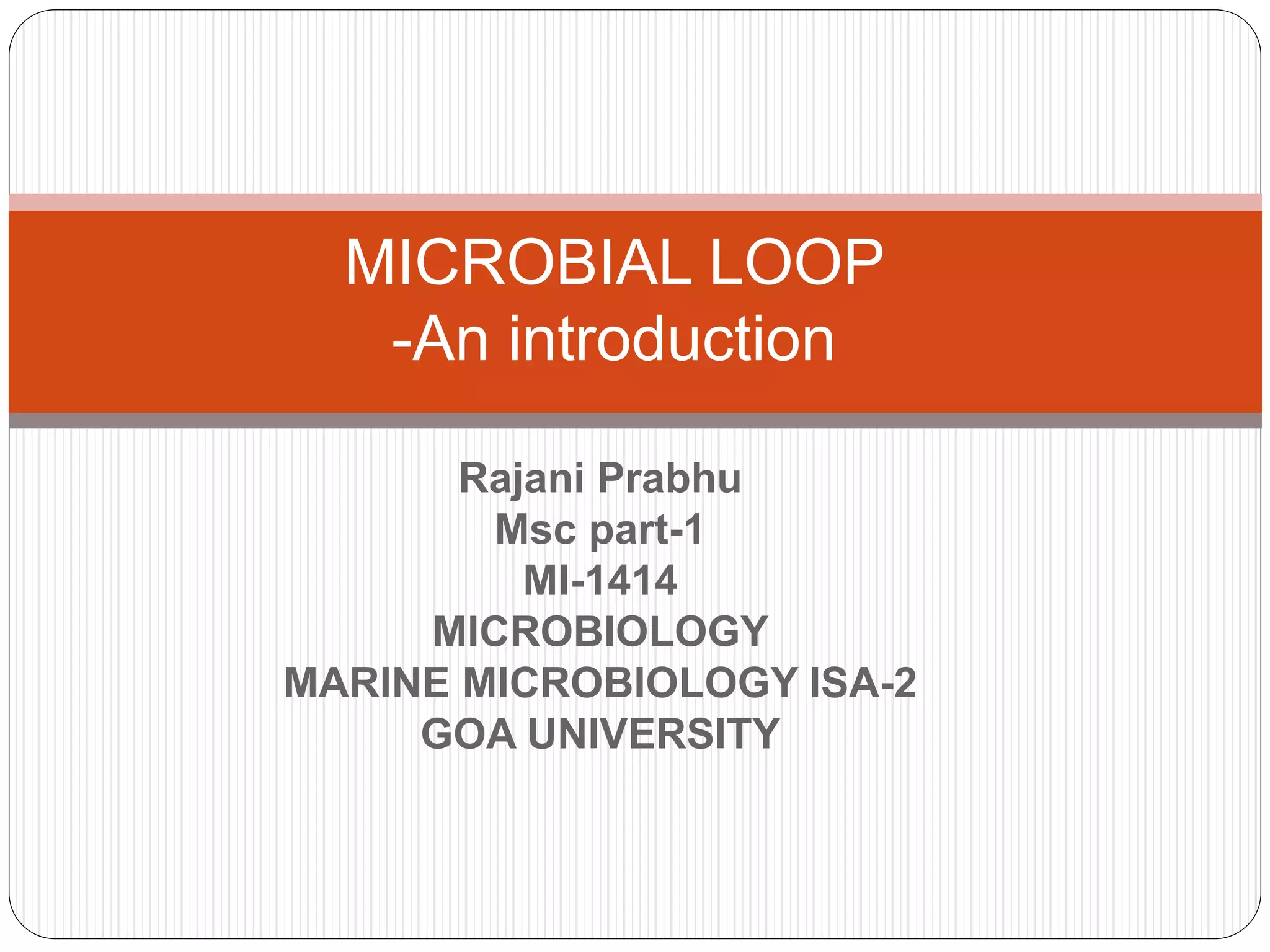 microbial loop | PPTX